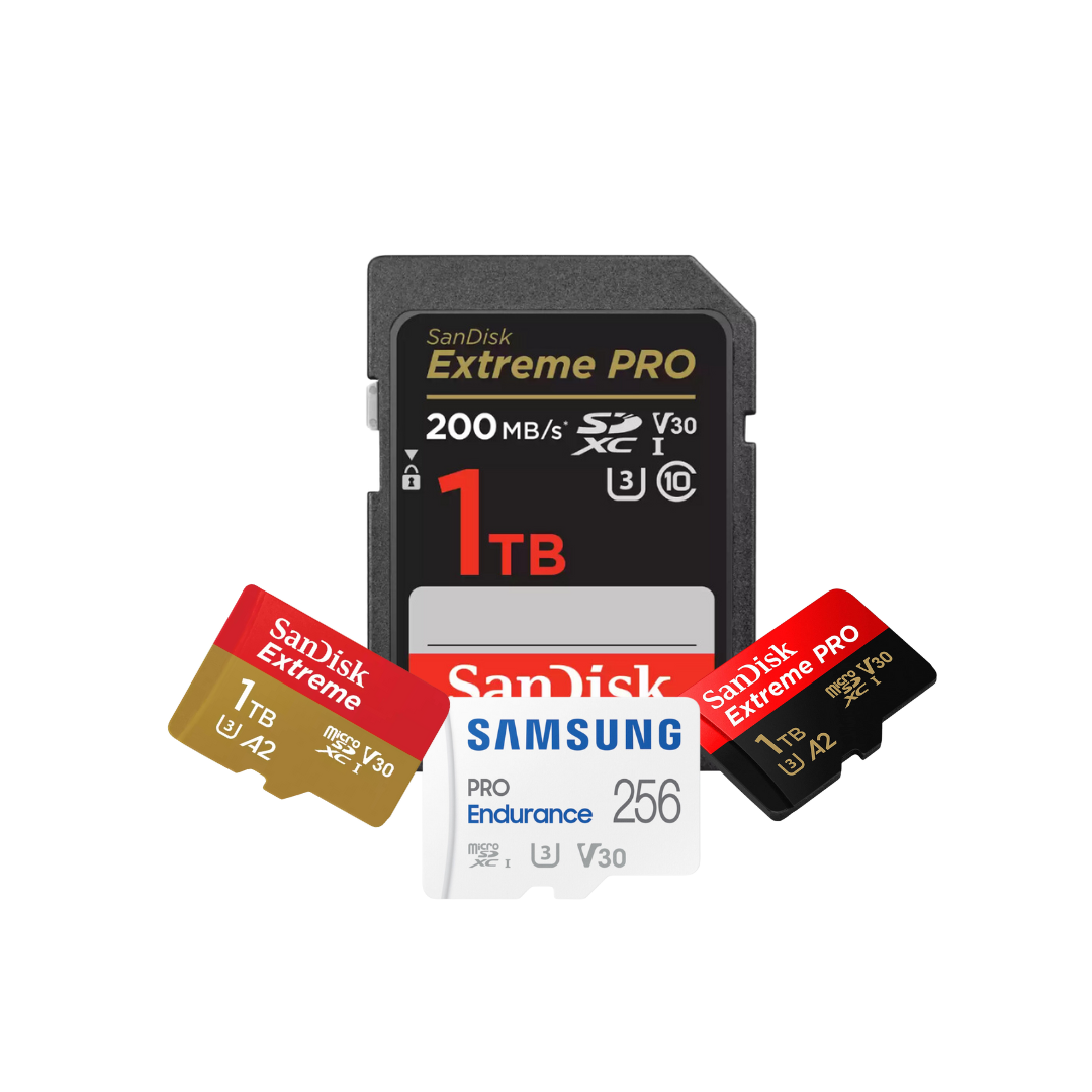 Memory Card